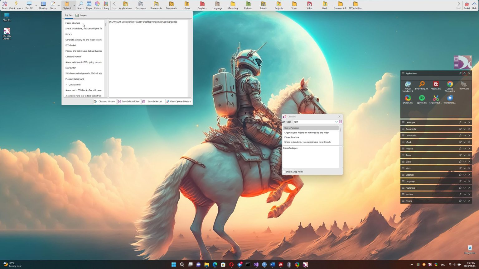 Easy Desktop Organizer v5 Desktop Management MSTECH GLOBAL
