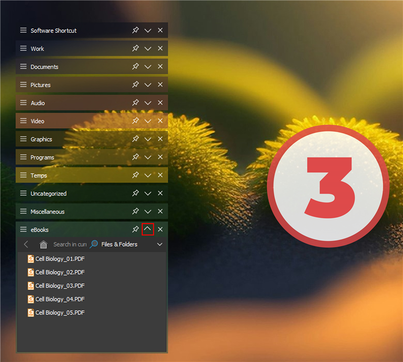 Easy Desktop Organizer v5 - Desktop Management - MSTECH GLOBAL