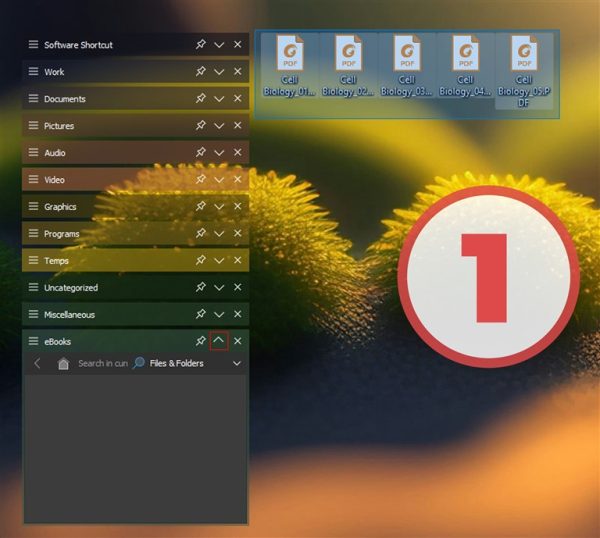 Easy Desktop Organizer v5 Desktop Management MSTECH GLOBAL